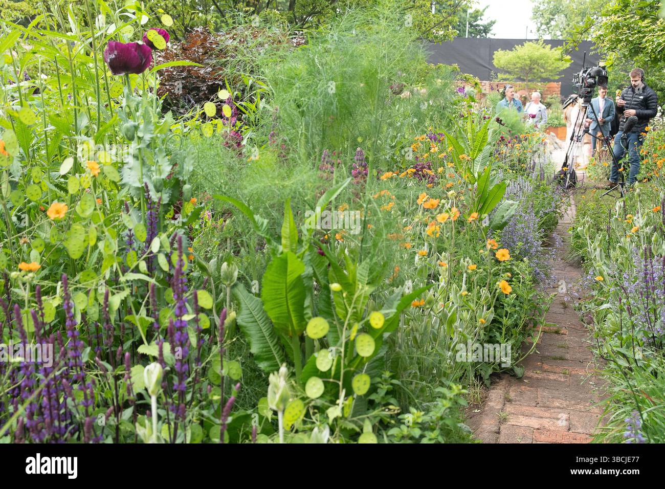 Chelsea, London, UK. 19th May, 2025. RHS Feature Garden, The RHS and ...