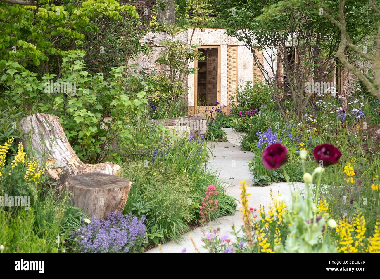 Chelsea, London, UK. 19th May, 2025. Show Garden, The Avanade ...