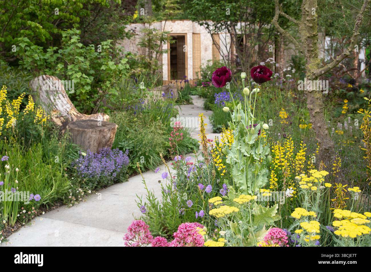 Chelsea, London, UK. 19th May, 2025. Show Garden, The Avanade ...