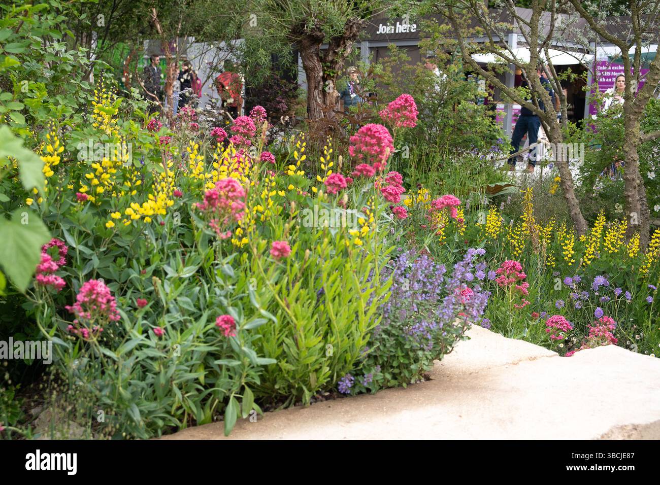 Chelsea, London, UK. 19th May, 2025. Show Garden, The Avanade ...