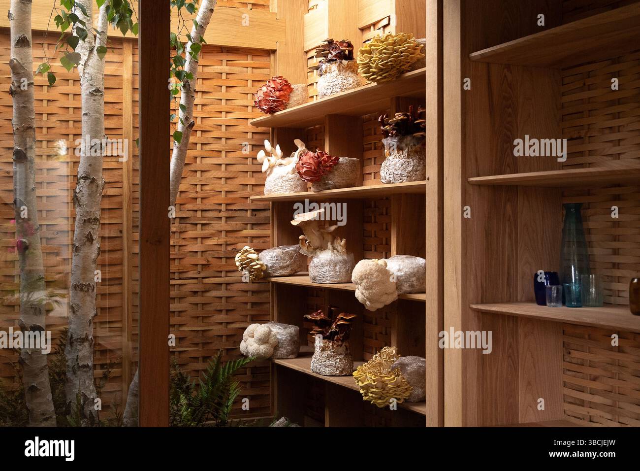 Chelsea, London, UK. 19th May, 2025. Show Garden, The Avanade ...