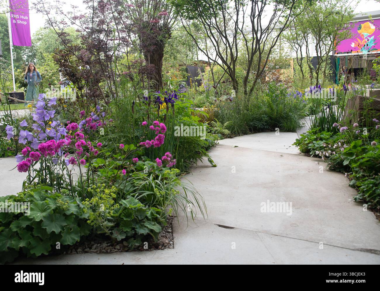 Chelsea, London, UK. 19th May, 2025. Show Garden, The Avanade ...