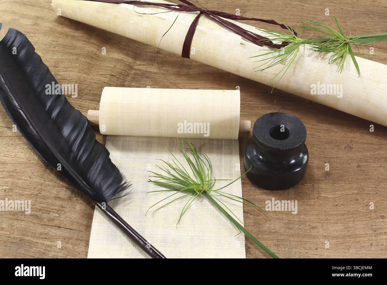 Papyrus scroll with papyrus plant, quill and inkwell Stock Photo - Alamy