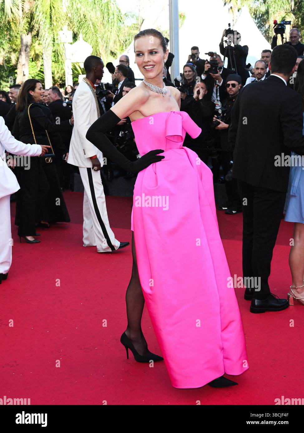 Cannes, 78th Cannes Film Festival 2025 - Evening 8 - Red Carpet of the ...