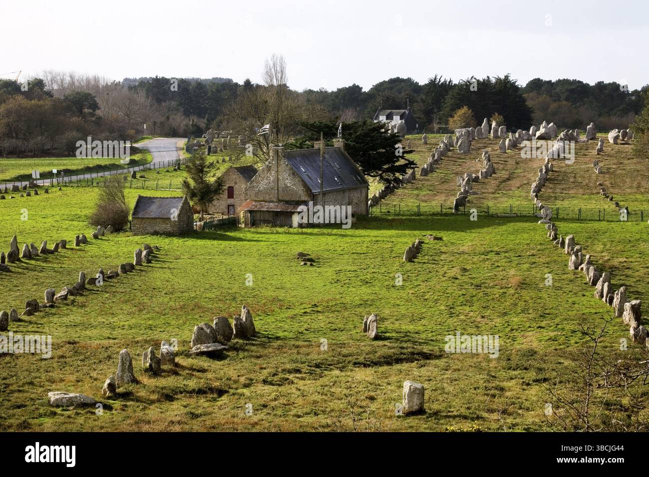 Rows of megaliths, Carnac, Morbihan, Brittany, Karnag, Menhir, Megalith ...