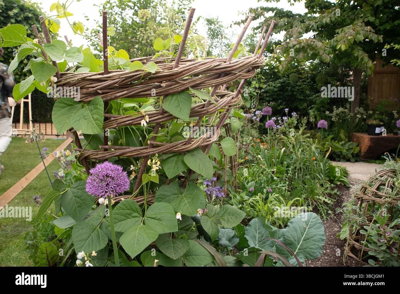 Chelsea, London, UK. 19th May, 2025. Show Garden, The Garden of the ...