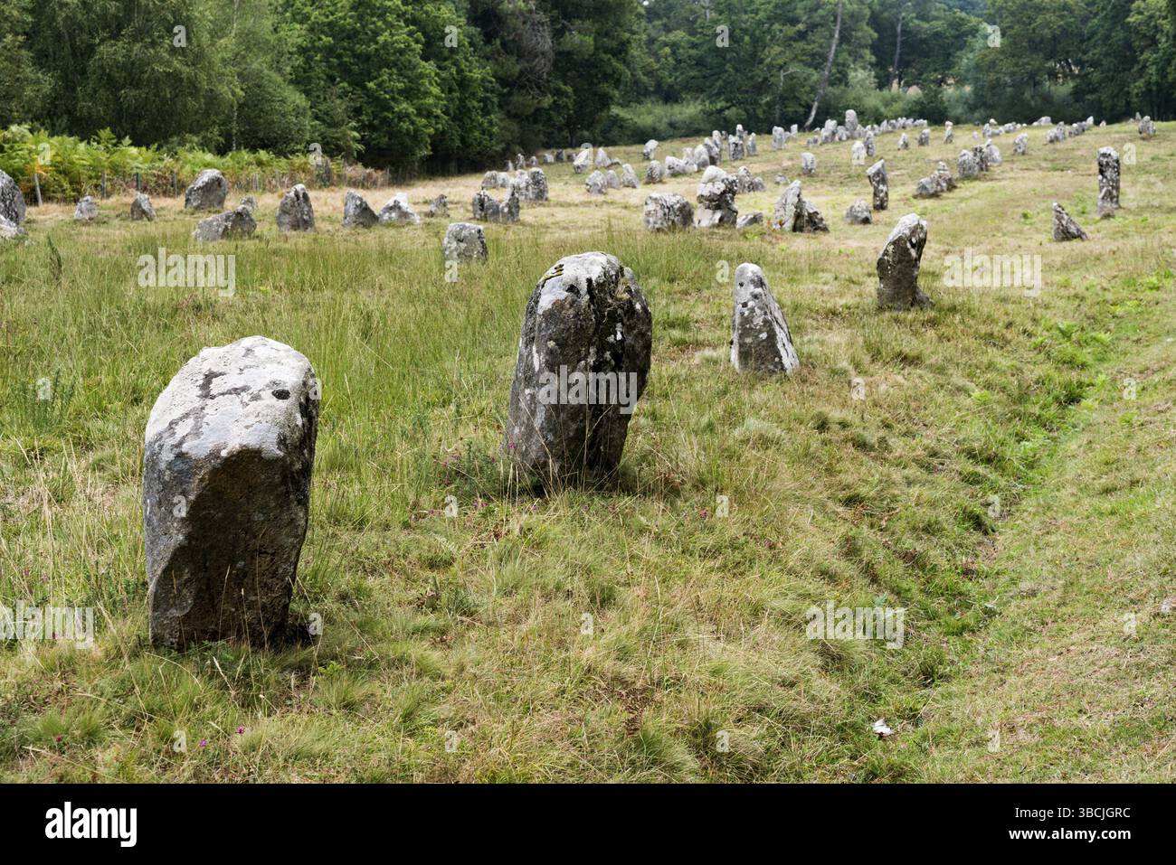 A view of prehistoric monolith stone alignments in Brittany at Carnac ...