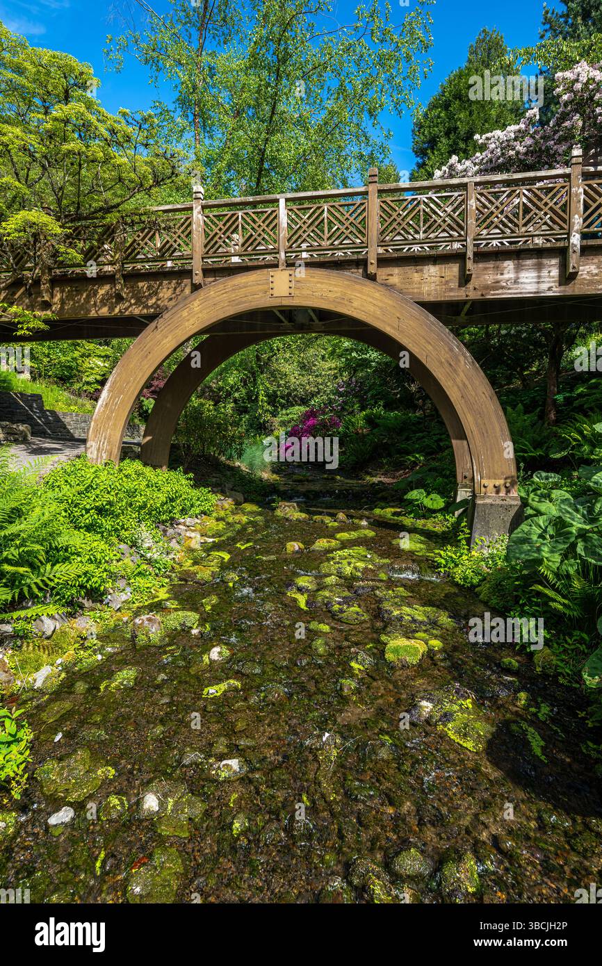 Crystal Springs Rhododendron Garden in Portland, Oregon Stock Photo - Alamy