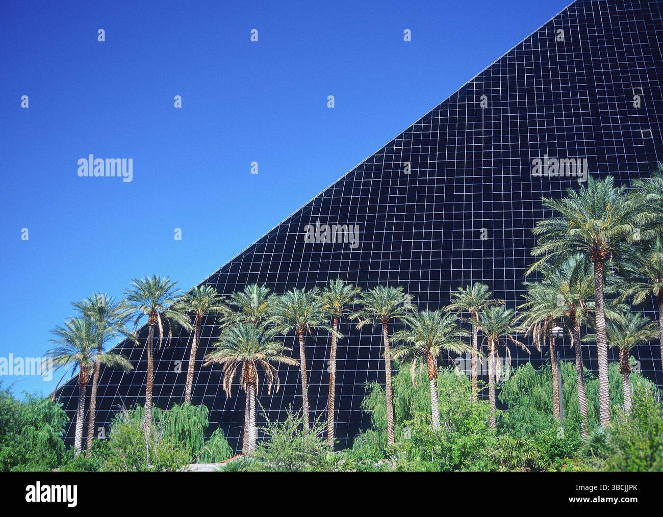 Hotel Luxor, pyramid and palms, North America (north america ...