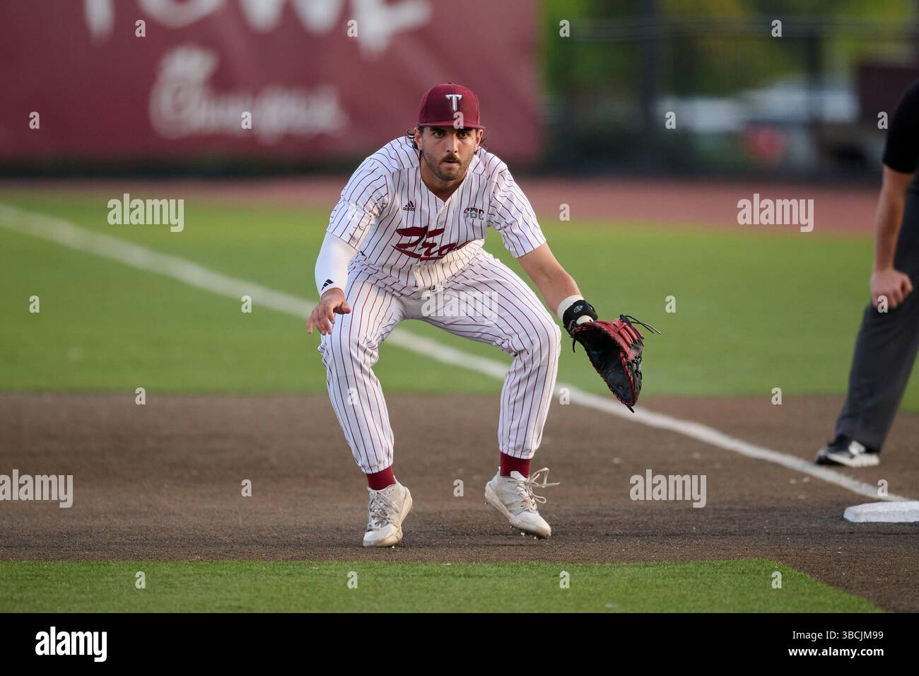 Troy Trojans first baseman Blake Cavill (34) during an NCAA baseball ...