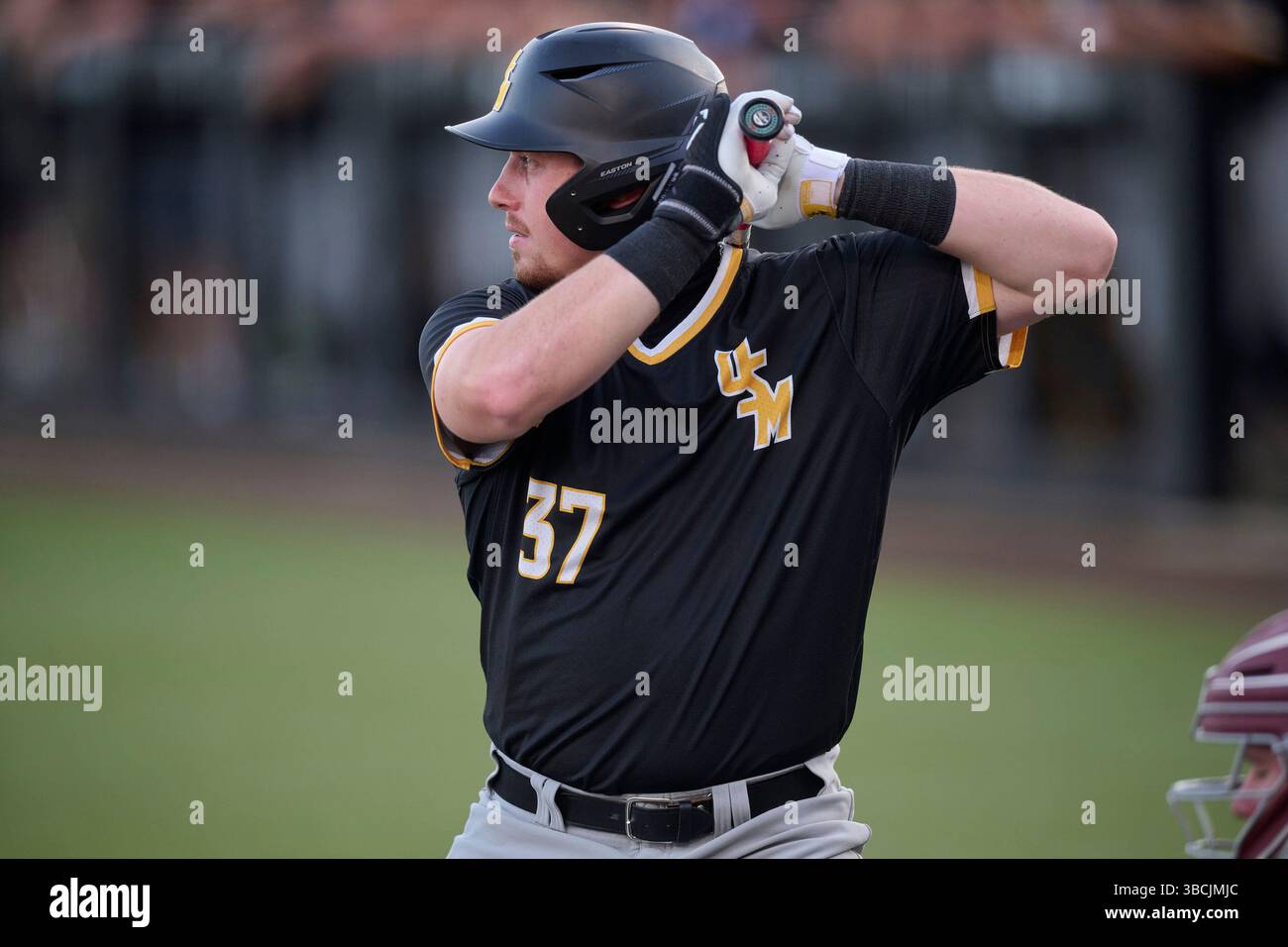 Southern Miss Golden Eagles Carson Paetow (37) bats during an NCAA ...
