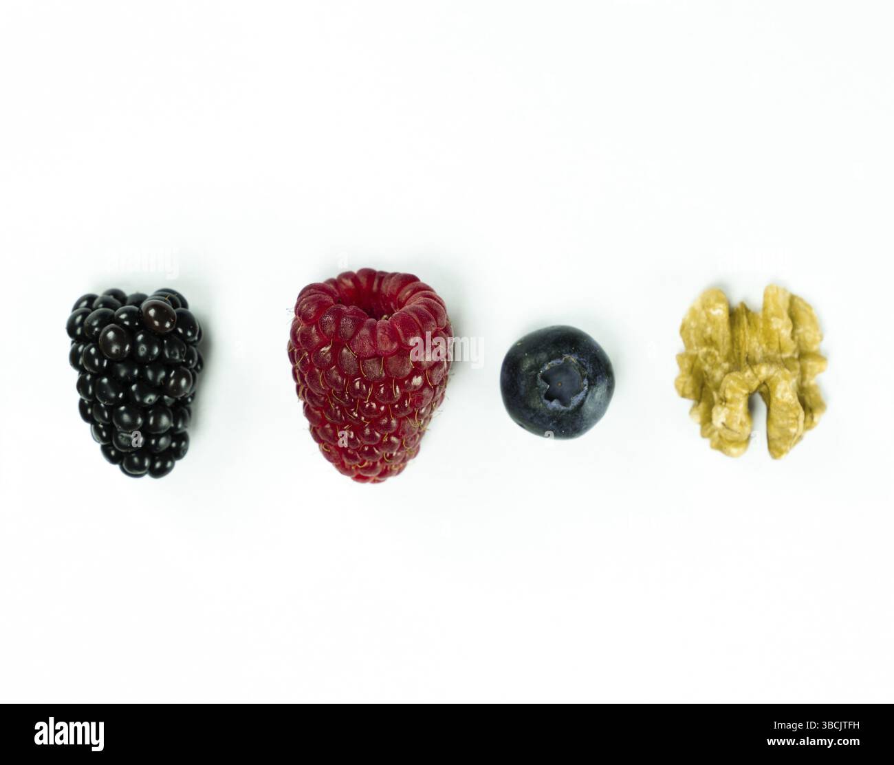 Blueberry blackberry line white Cut Out Stock Images & Pictures - Alamy