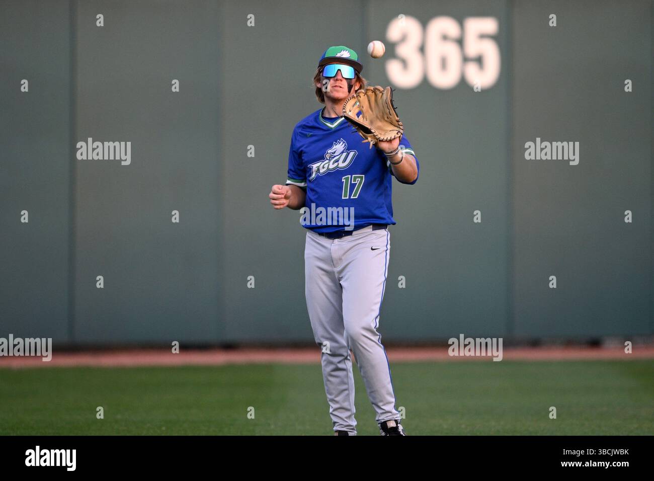 Florida Gulf Coast oufielder Aidan Corn (17) during an NCAA college ...