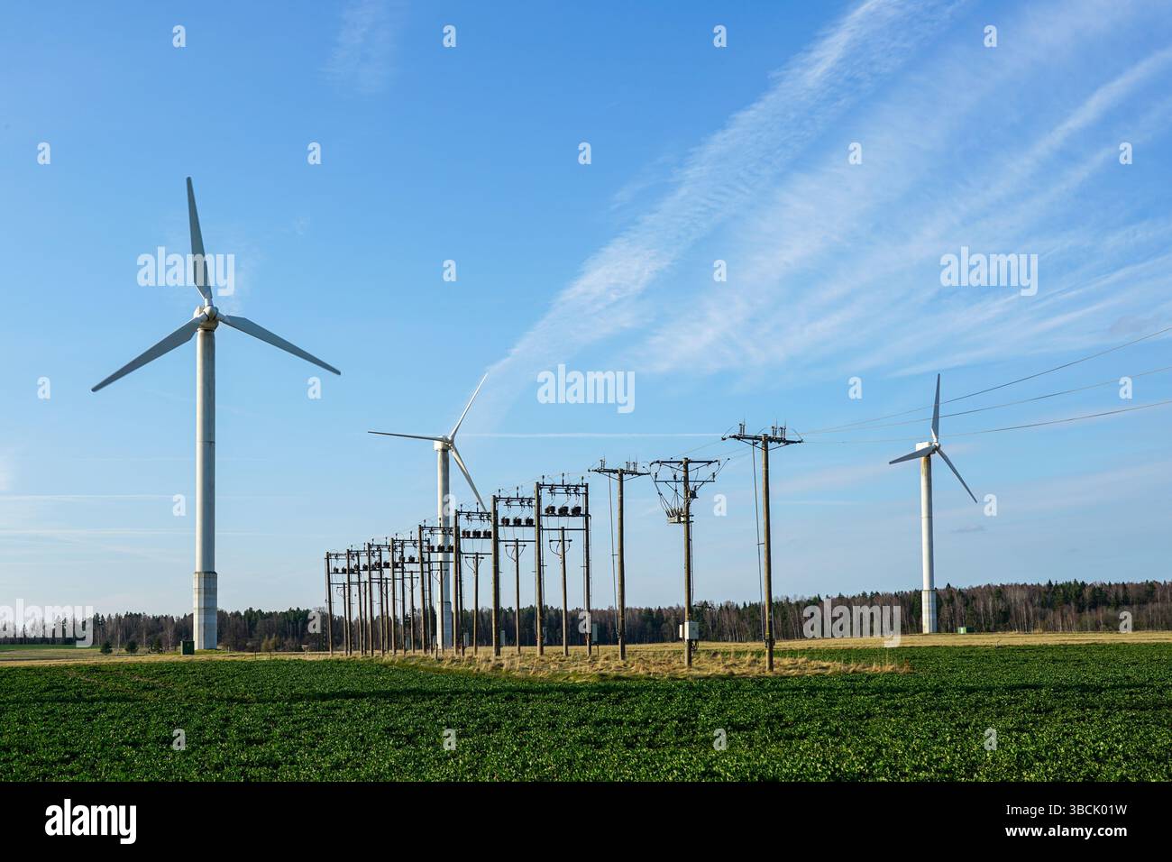 Wind Turbines and Power Lines in a Green Field Generating Clean ...