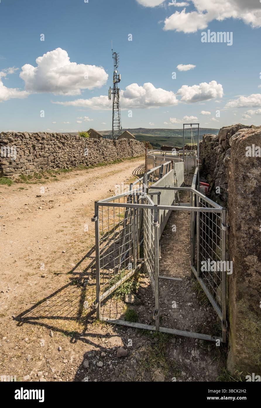 Sheep handling system set up in Edge Lane between Hebden and ...