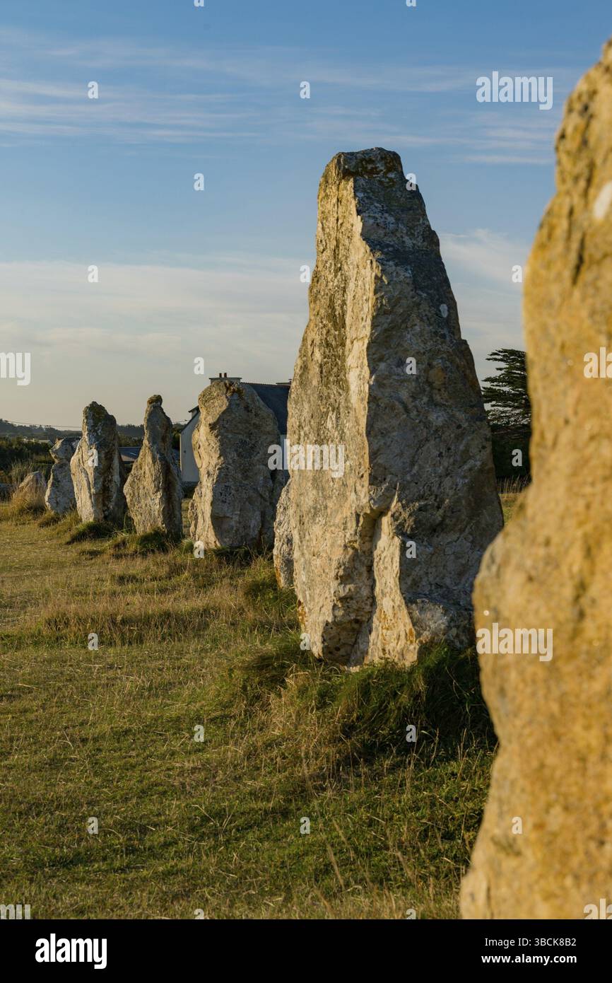 view of prehistoric monolith stone alignments in Brittany in warm ...
