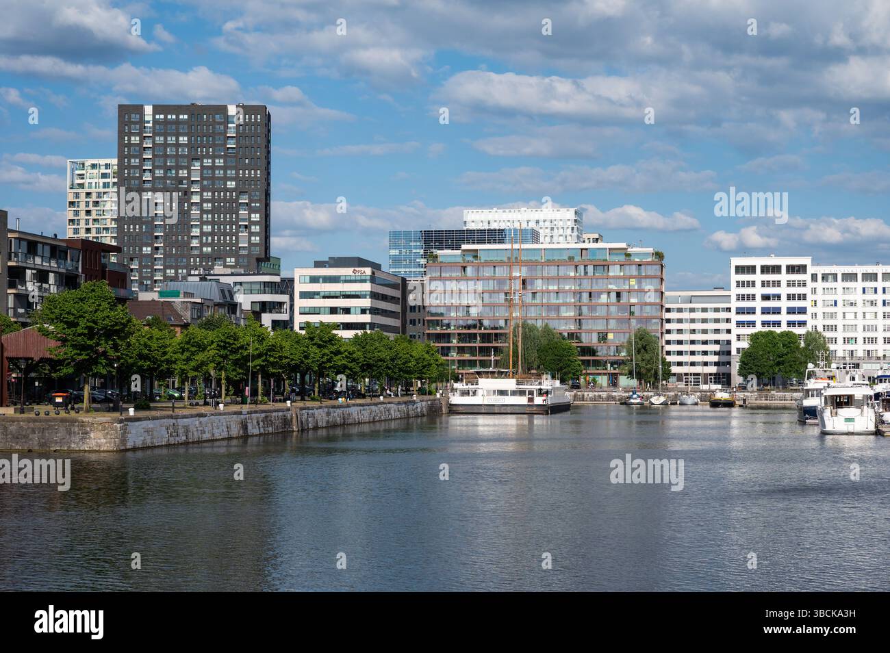 The Willem dock inner harbour, contemporary apartment blocks and ships ...