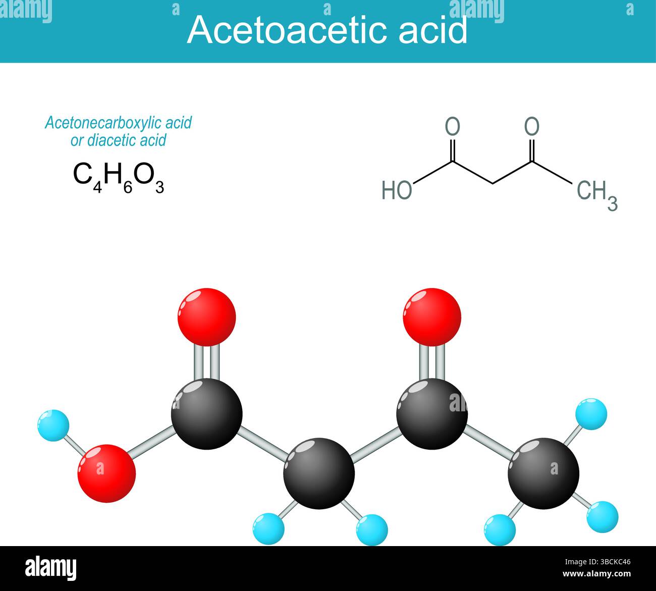 Acetoacetic acid molecule. Molecular chemical structural formula and model of diacetic acid ...