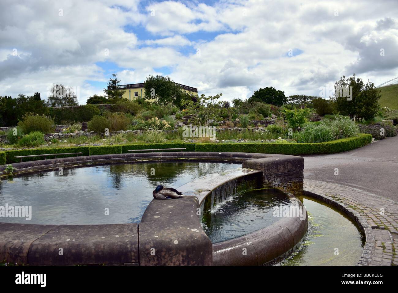 National Botanic Gardens Wales - Pond Stock Photo - Alamy
