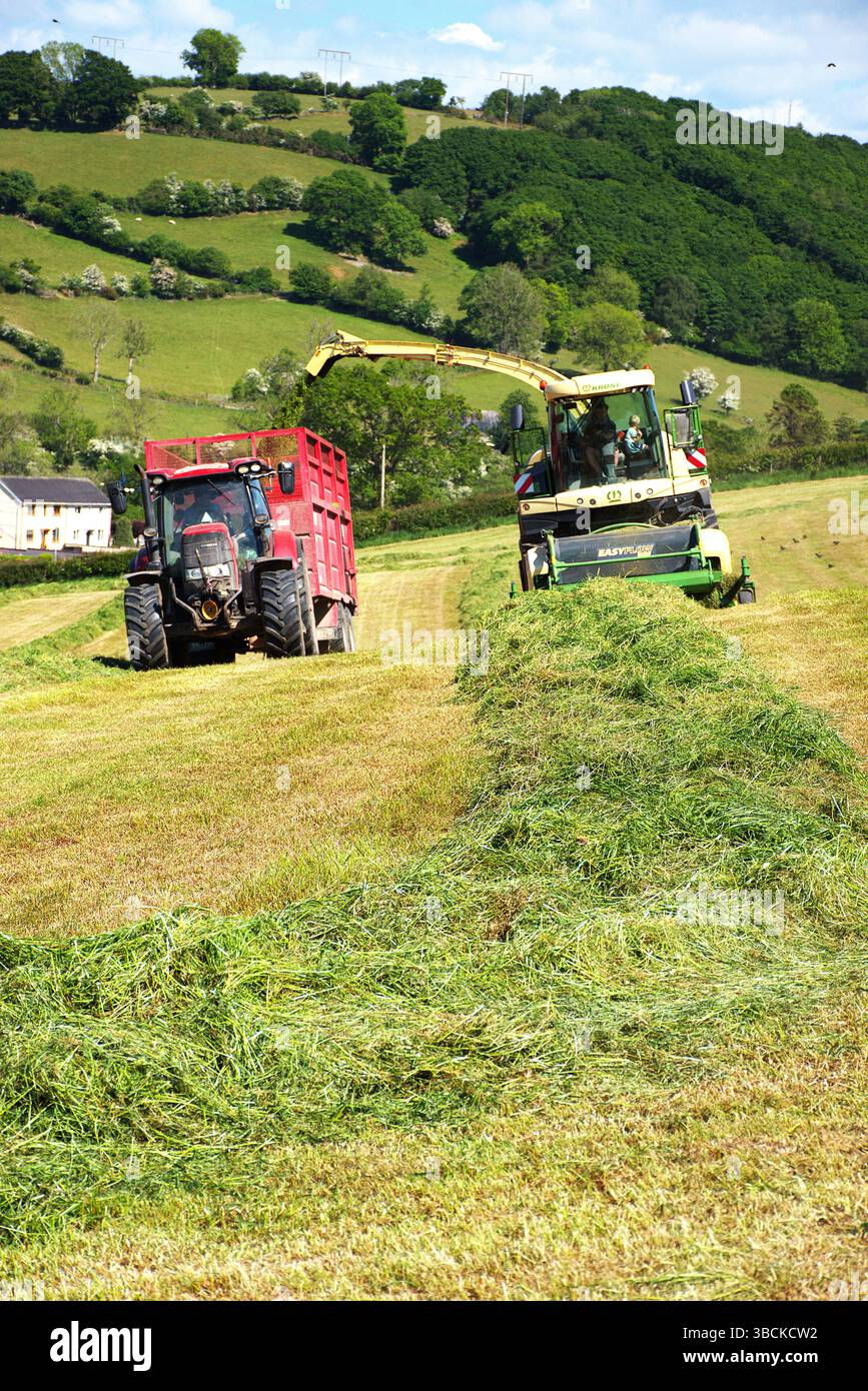 Krone Forager & Case Tractor Stock Photo - Alamy