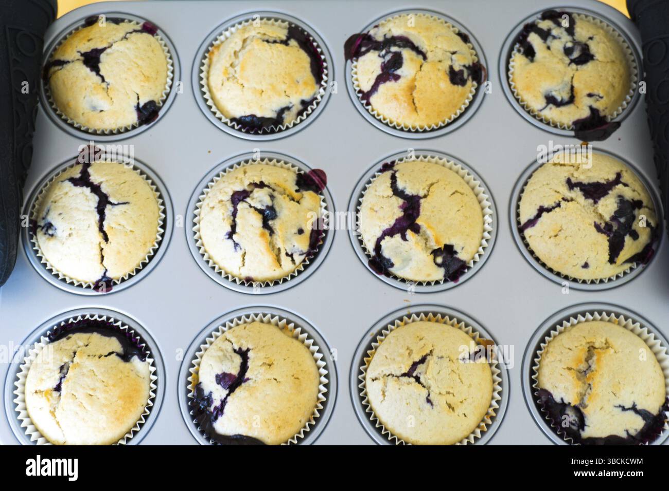 A close up horizontal view of freshly-baked homemade organic blueberry ...