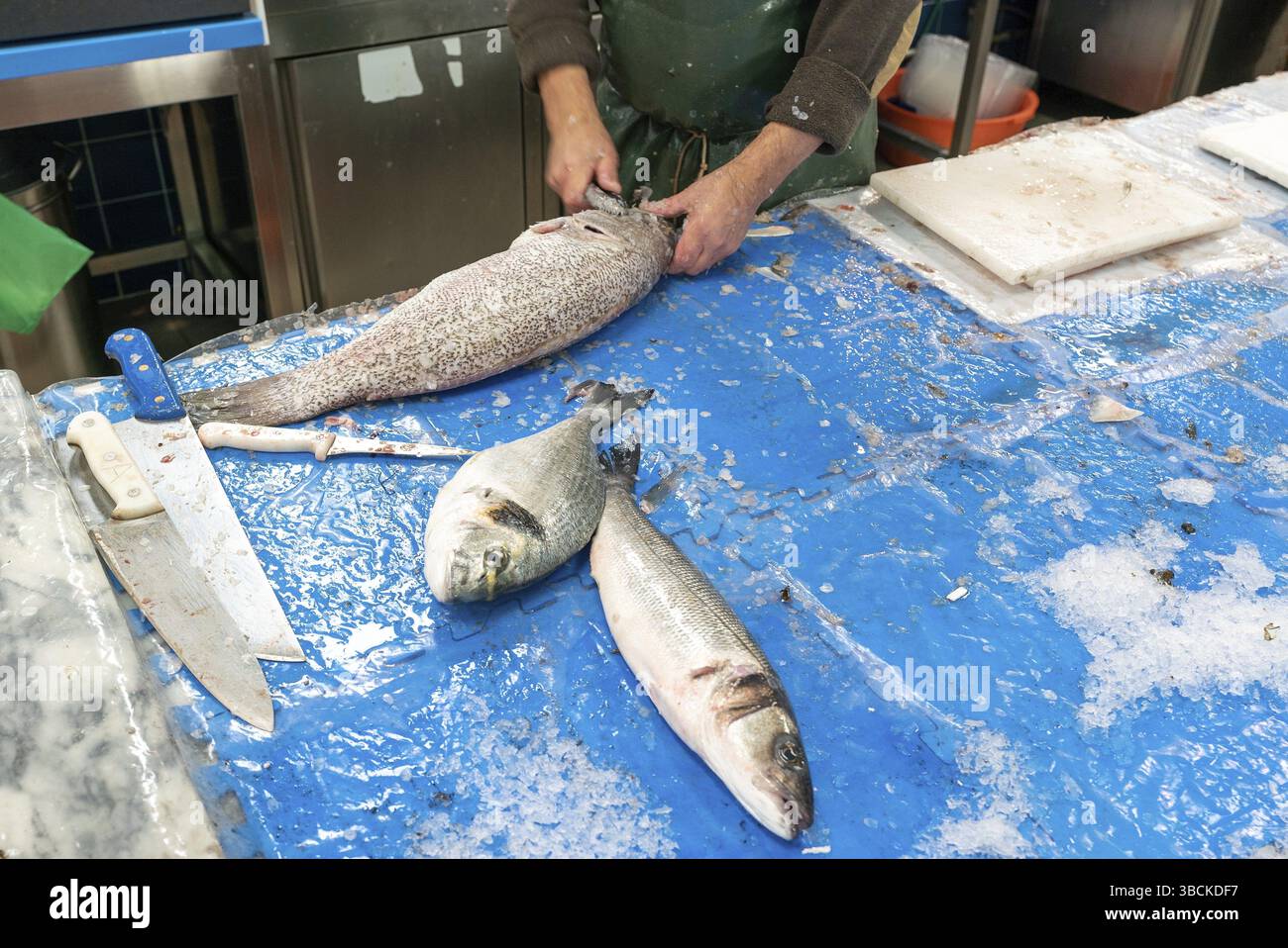 fisherman taking the scales off fresh fish in the Livramento market in ...