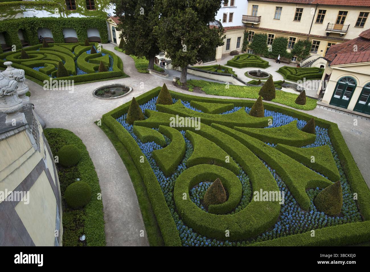Box hedge, Vrtba Garden, Prague, Czech Republic, Europe Stock Photo - Alamy