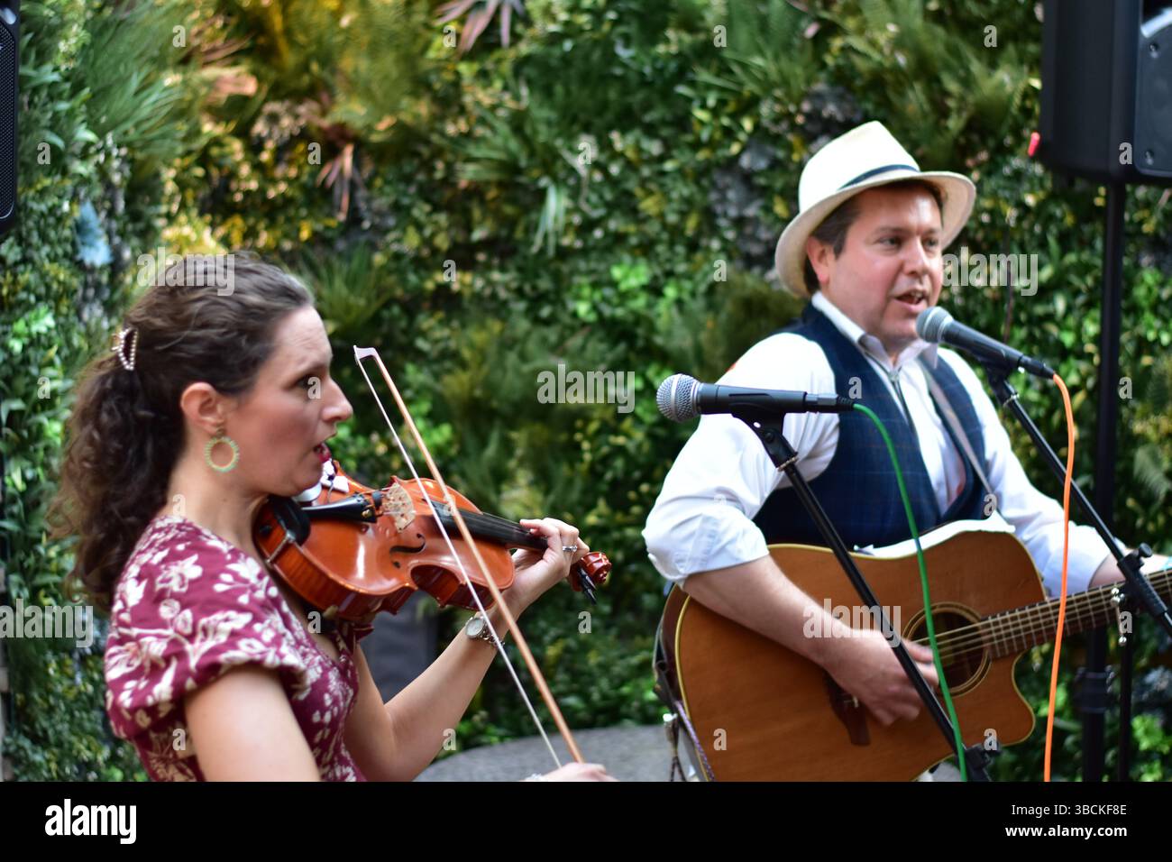 Folk artists Fiddle and Strum, a brother and sister duo, in performance ...