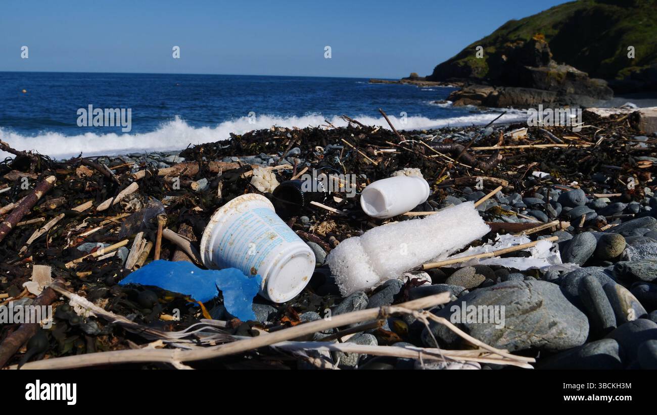 Marine litter on seashore after hi-res stock photography and images - Alamy