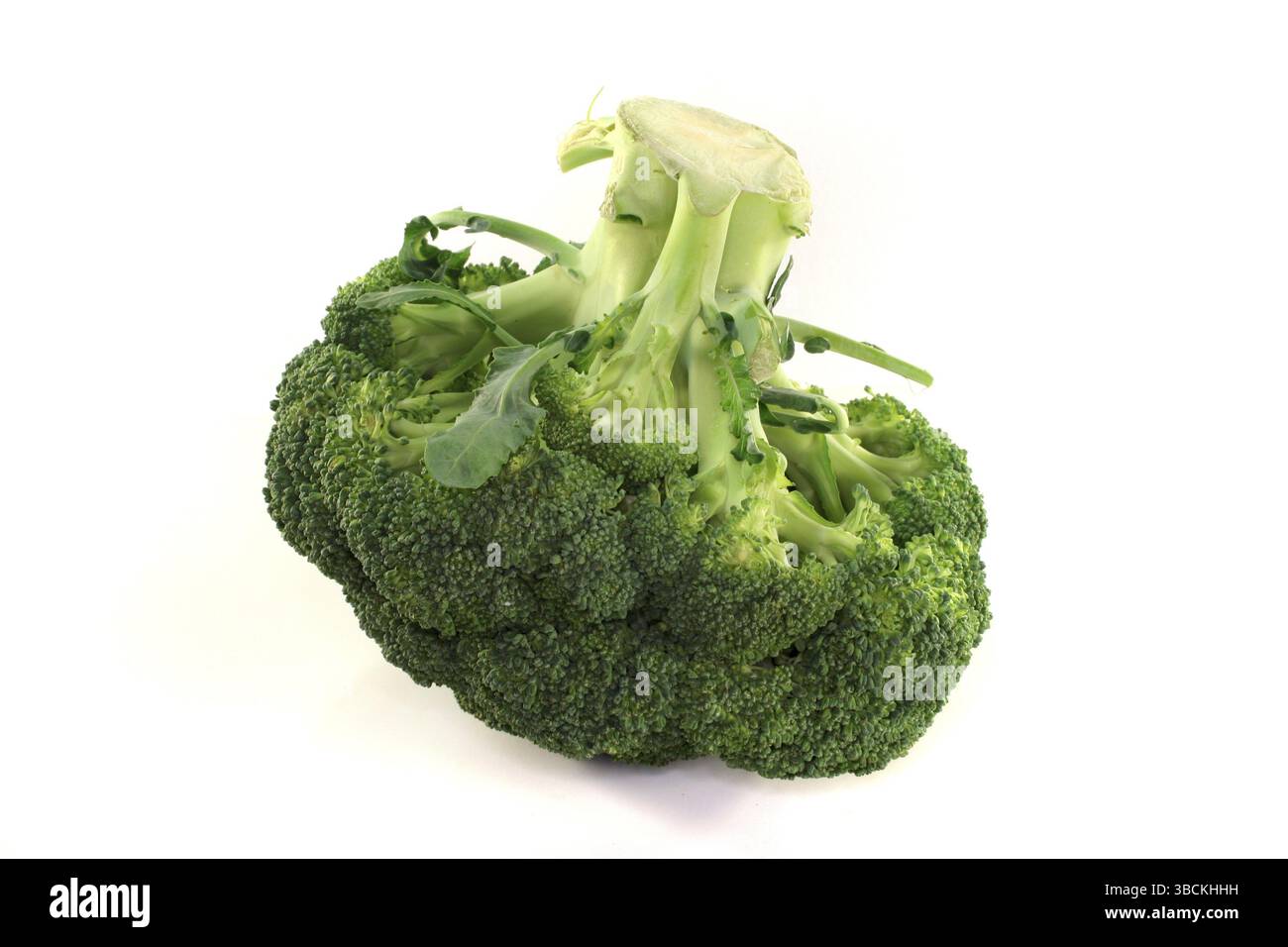 Broccoli rose Cut Out Stock Images & Pictures - Alamy