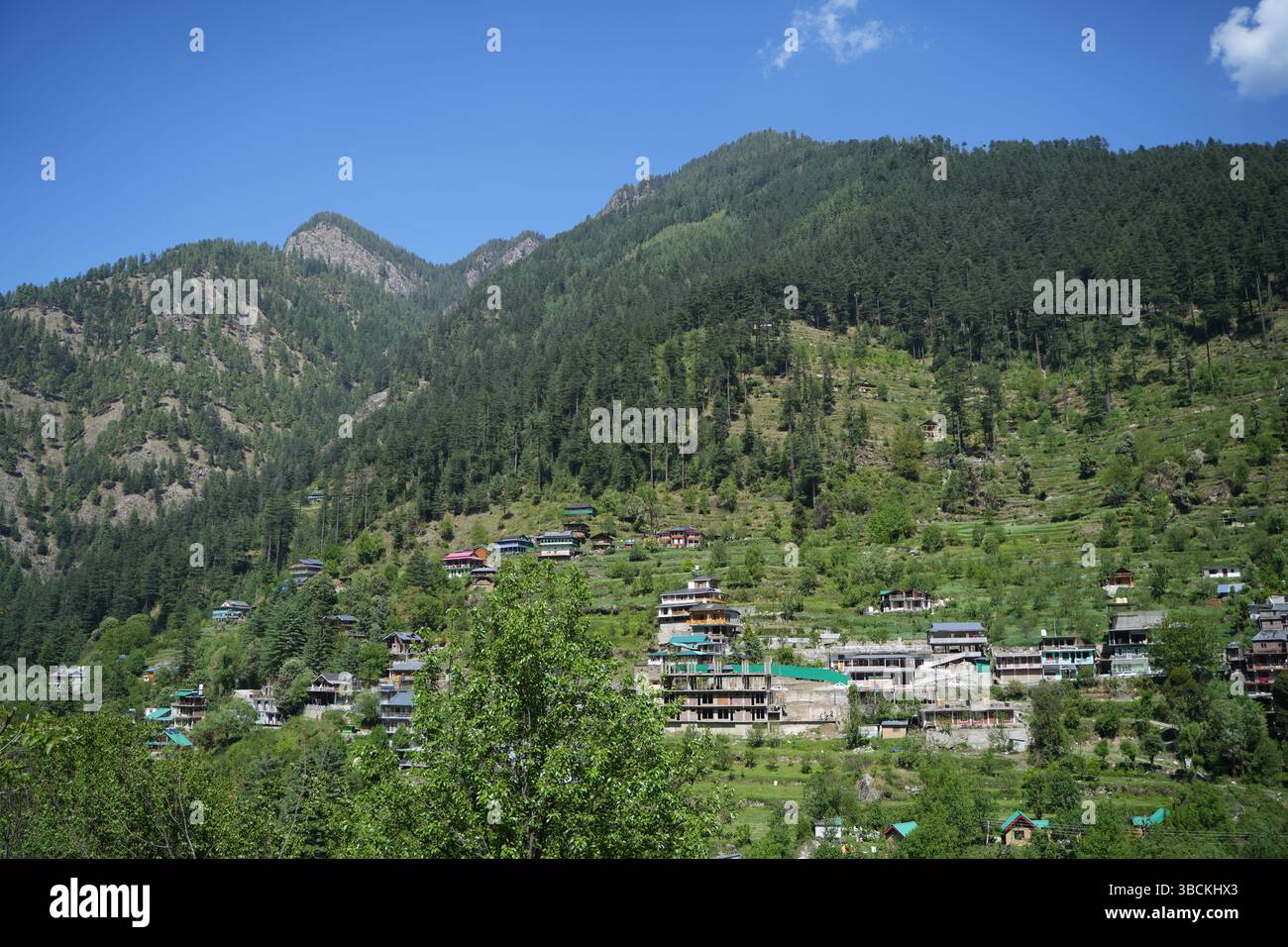 Natural diversity and homes in the hilly areas of Himachal Pradesh ...