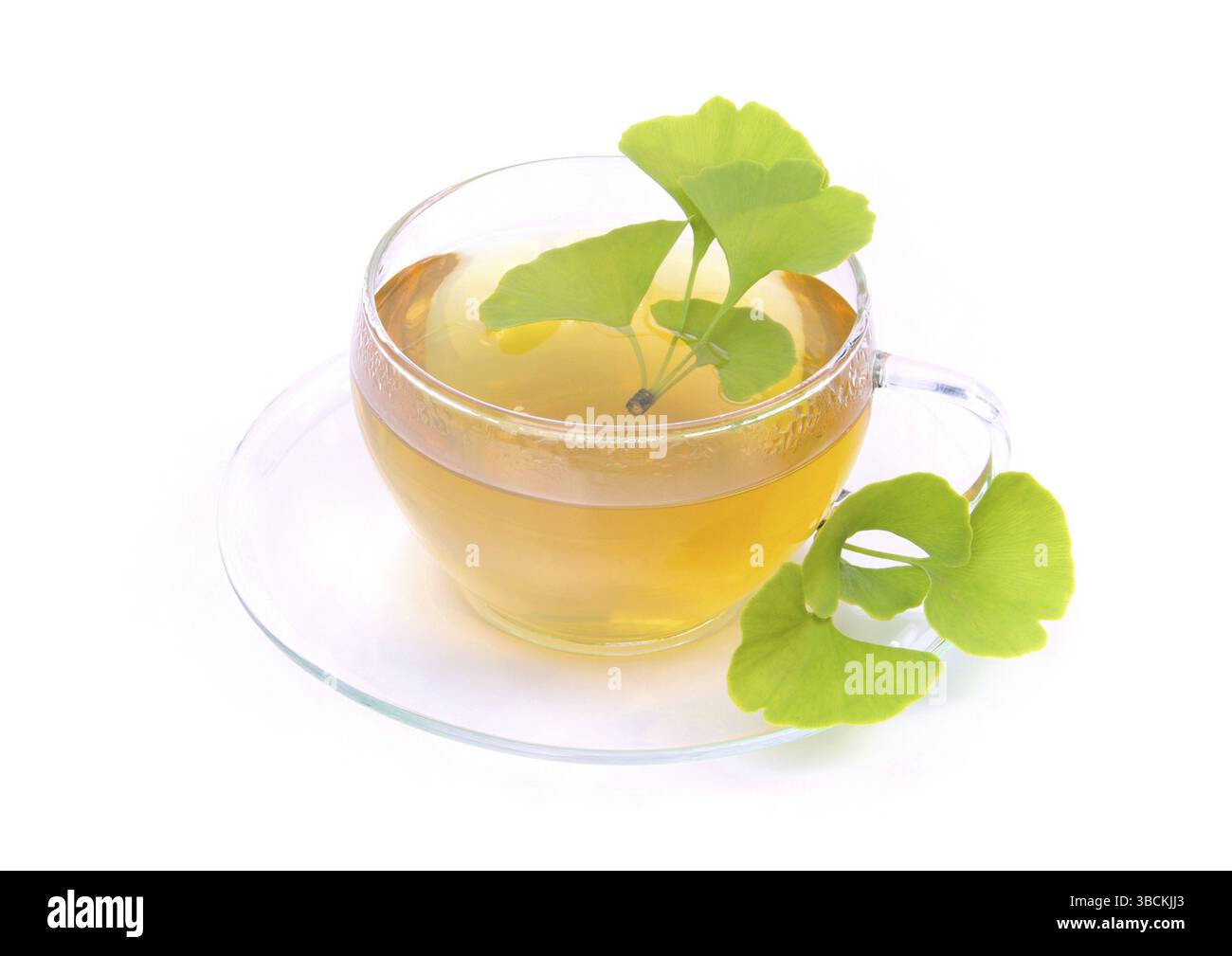 Tea Ginkgo, Tea Ginkgo Stock Photo - Alamy
