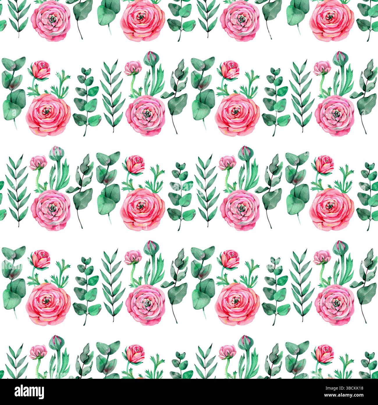 Ranunculus (buttercup). Seamless floral pattern with pink flowers and ...