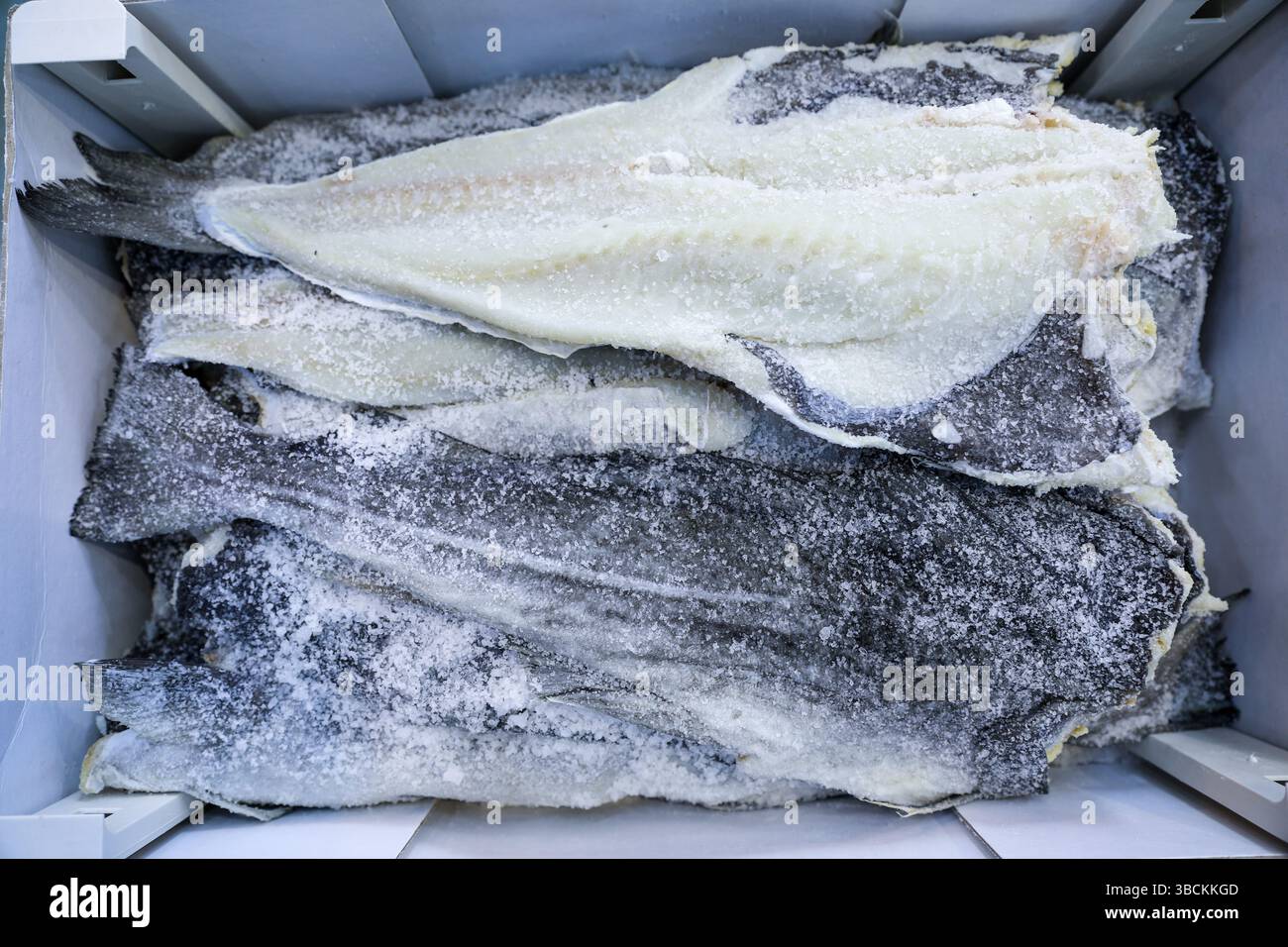 Salt cod or bakaliaros or hake, Merluccius merluccius in Greek fish ...