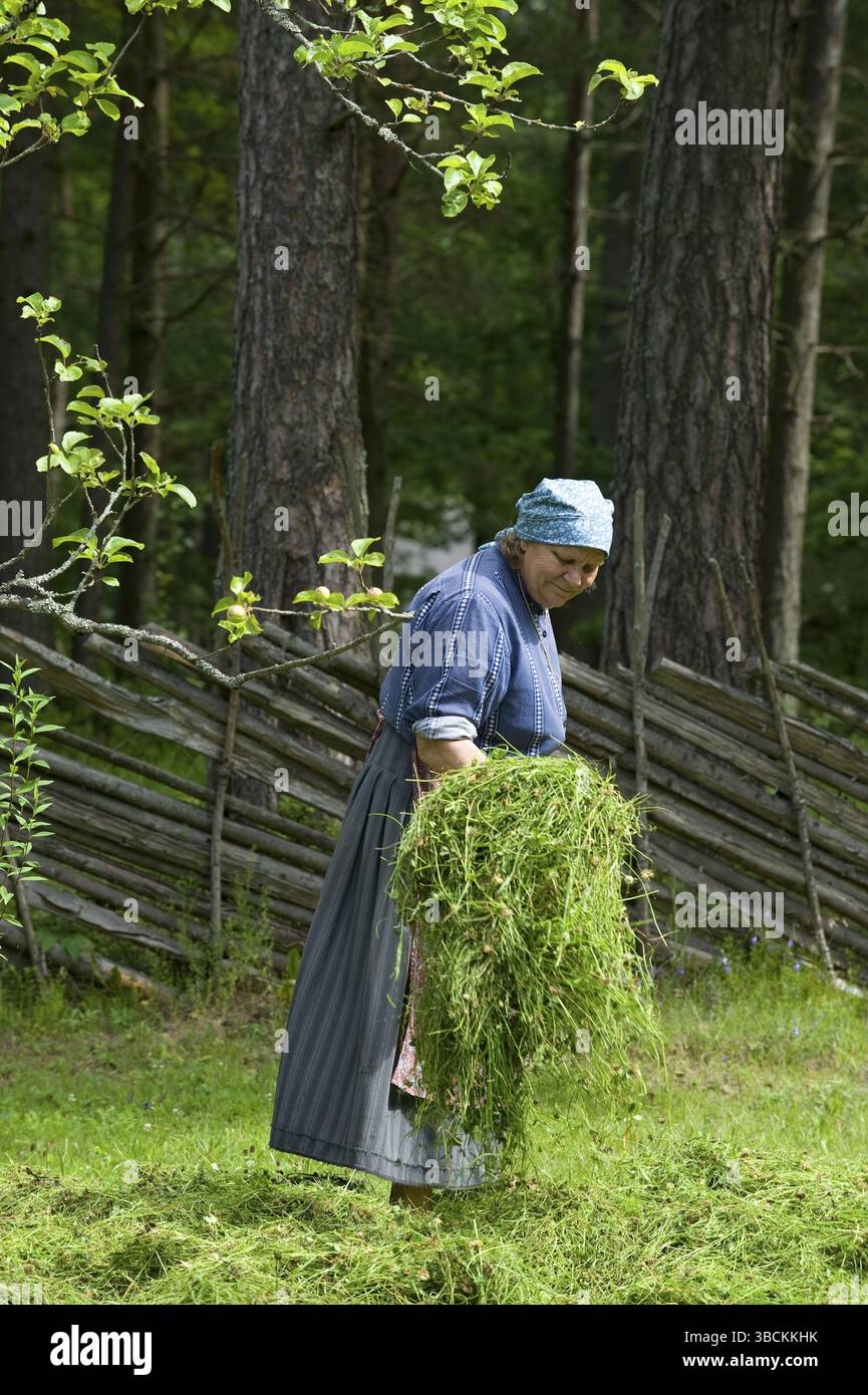 Woman with rake, open-air museum, Tallinn, Estonia, raking, Europe ...