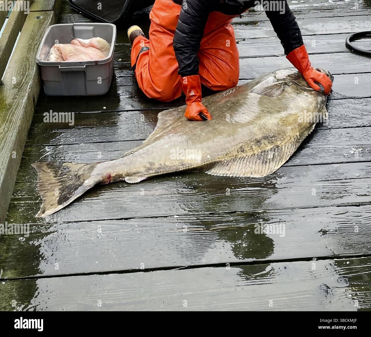 Seward Alaska. Exceptional fishing opportunities in one of the most ...