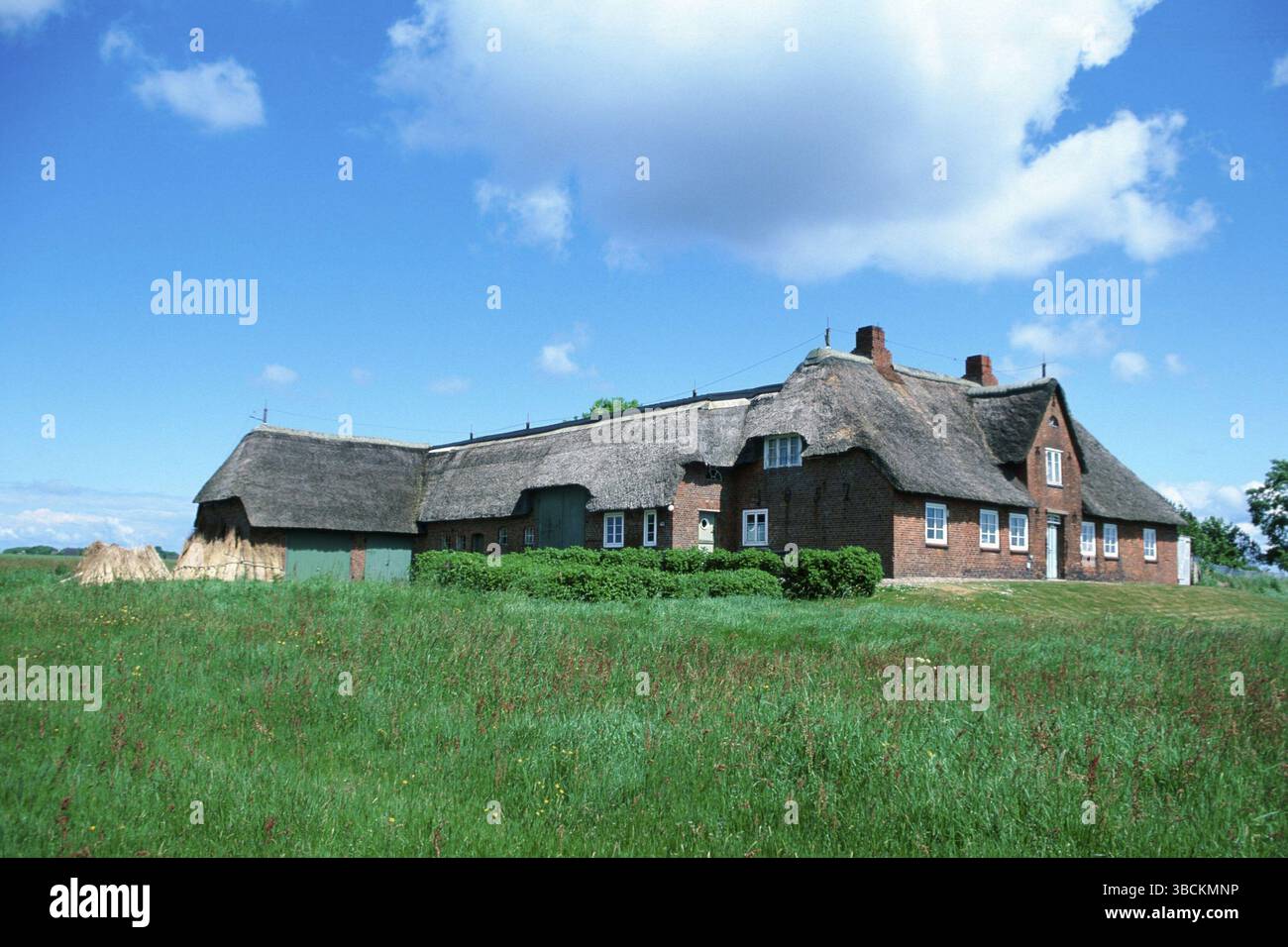 Reed roofed farm house, Sylt, Schleswig-Holstein, Reed roofed farm ...