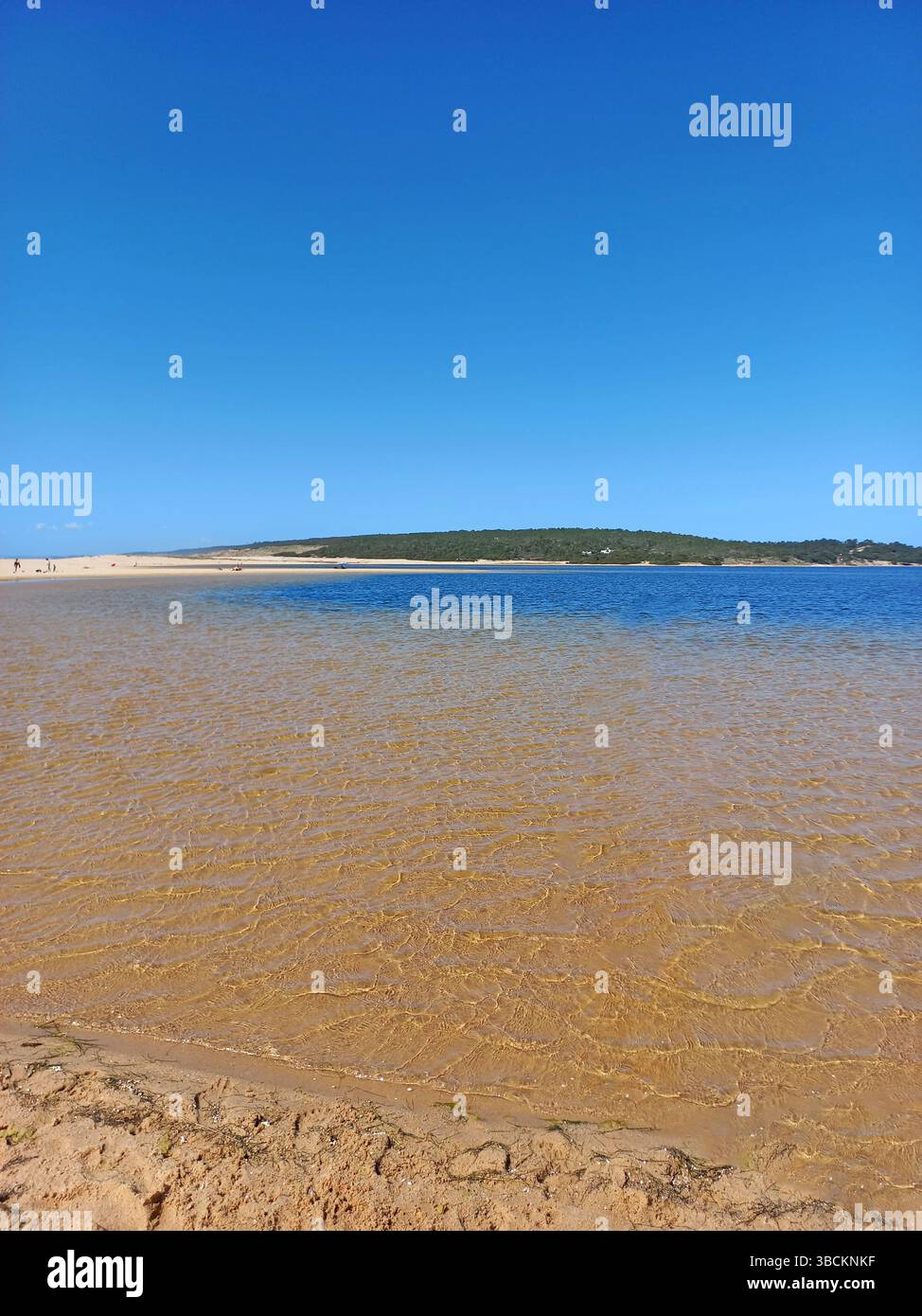 Calm water golden sand hi-res stock photography and images - Alamy