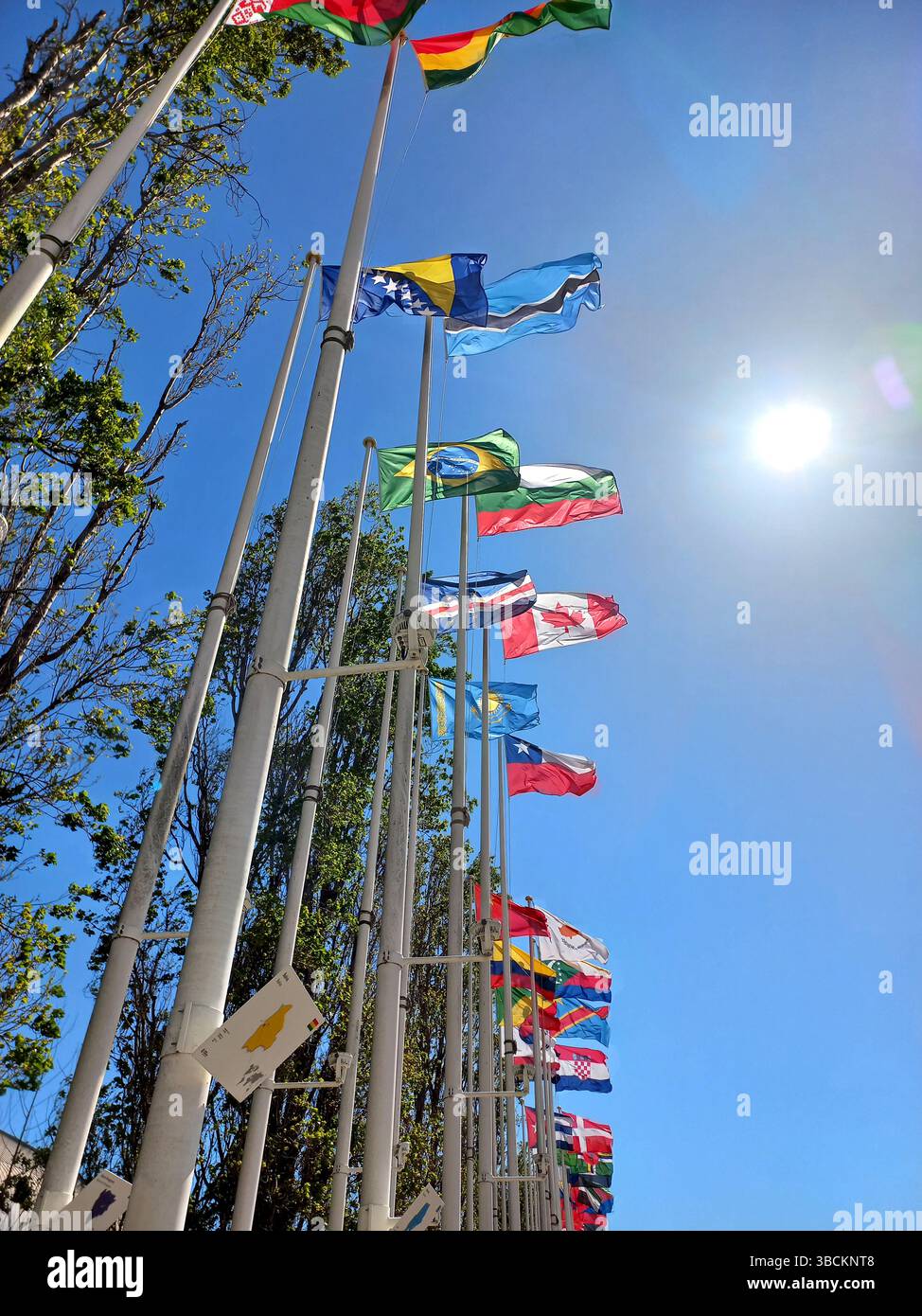 Colorful national flags waving against a clear blue sky with sun flare ...