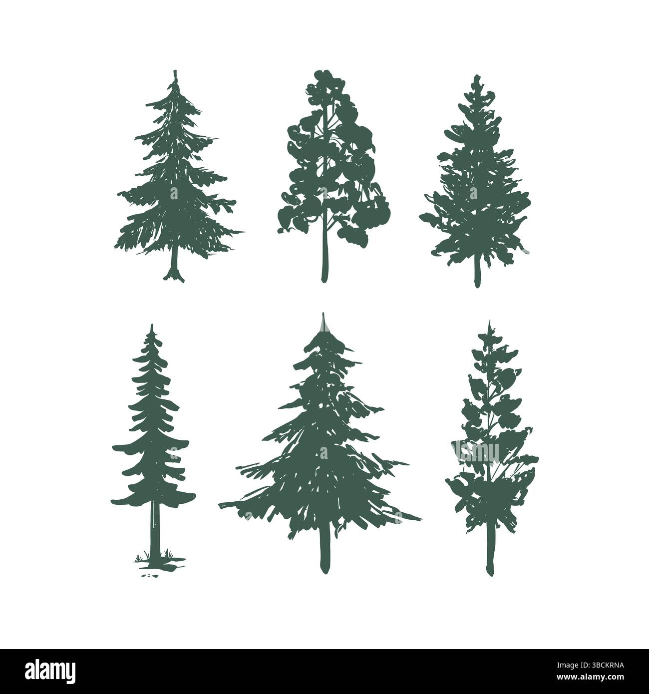 Coniferous trees in outdoor Cut Out Stock Images & Pictures - Alamy