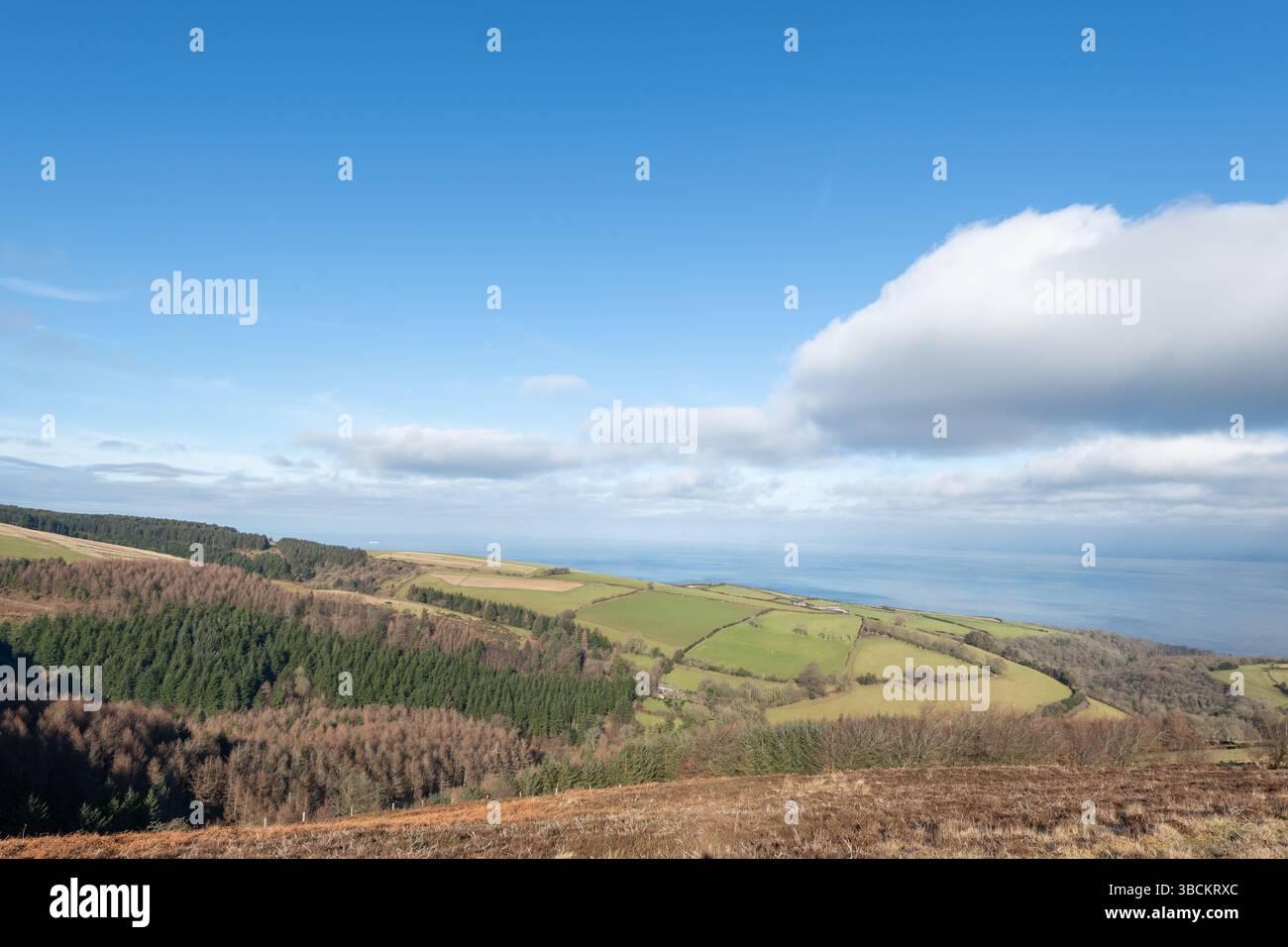 Porlock Common at the top of Porlock Hill in Exmoor National Park Stock ...