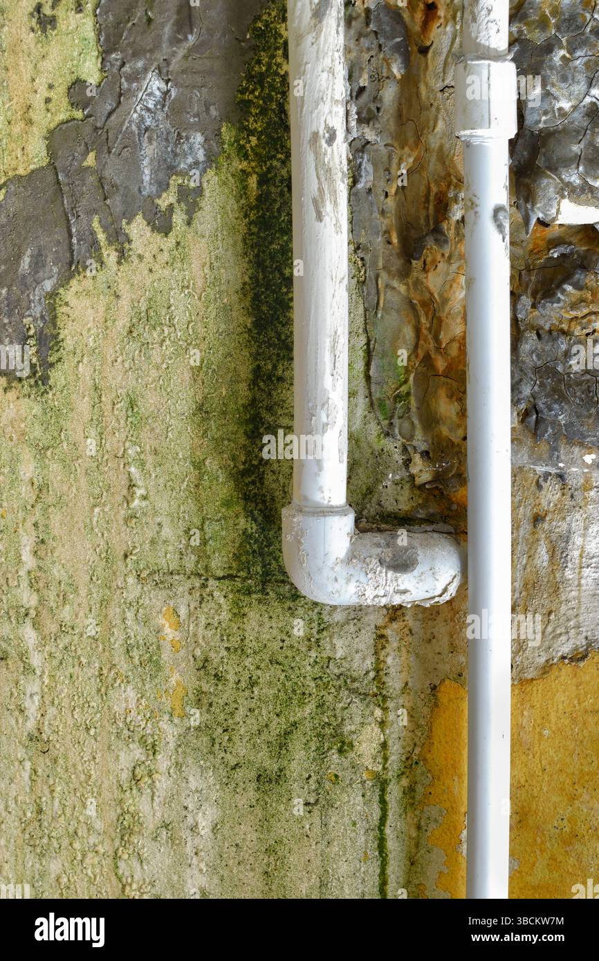 Damp and moldy wall. Peeling of paint and swelling of the wall from ...