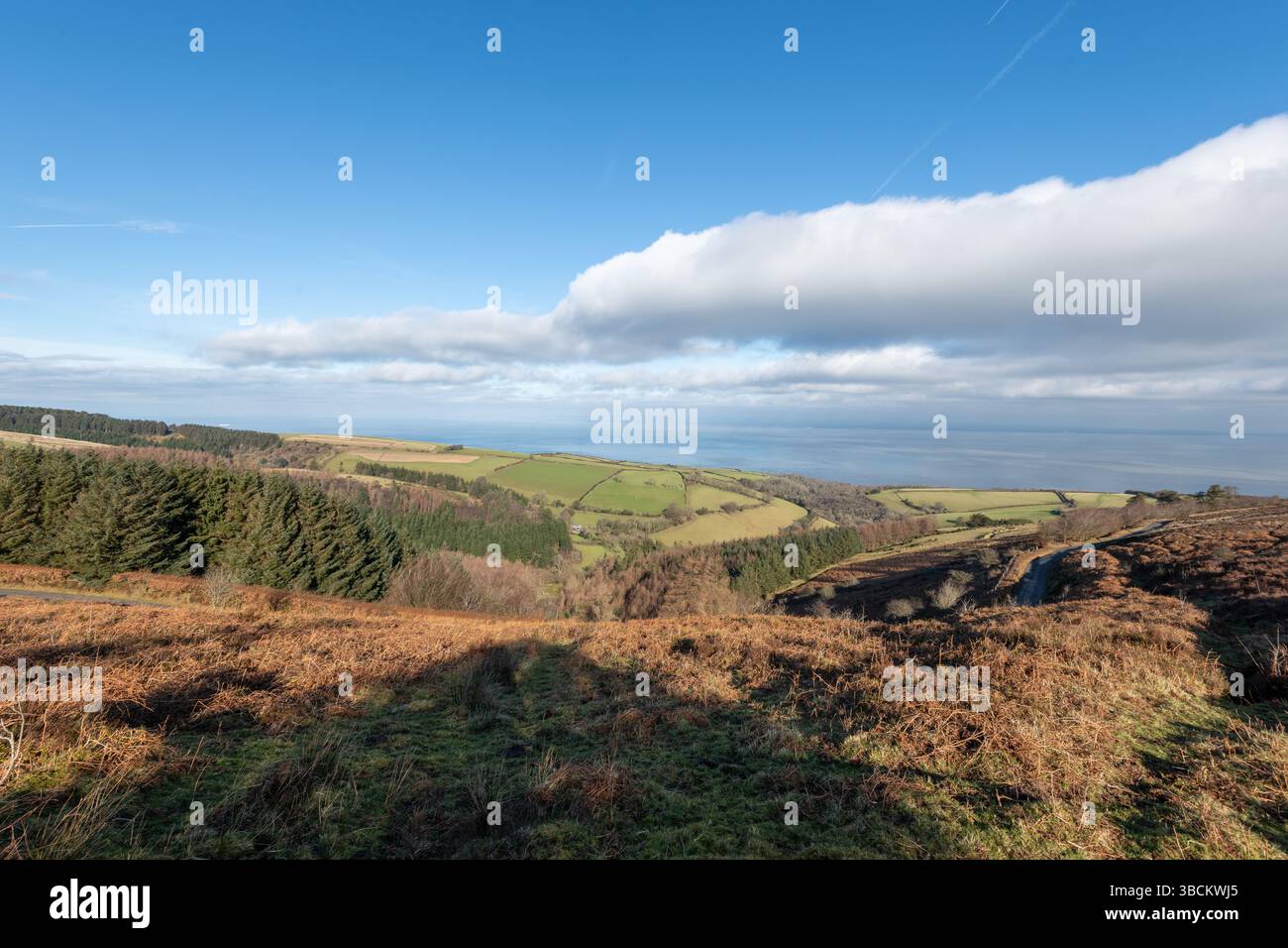 Porlock Common at the top of Porlock Hill in Exmoor National Park Stock ...