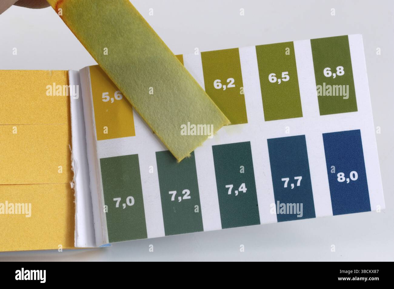 Test strips for acid-base balance, measure PH value, acid-base balance ...