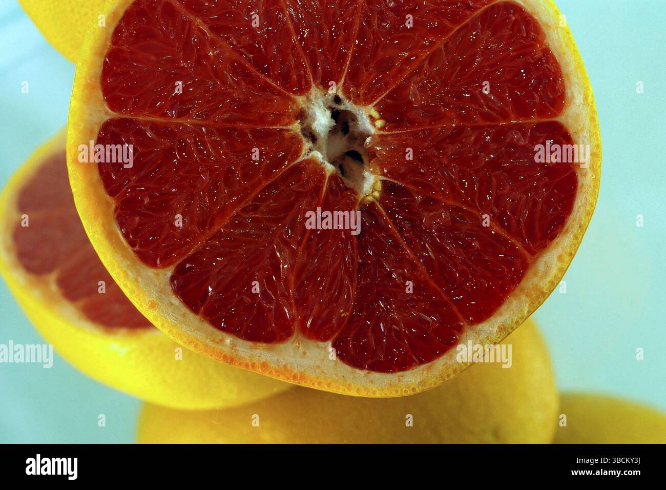 Grapefruit (Citrus x paradisi) (Citrus maxima Stock Photo - Alamy