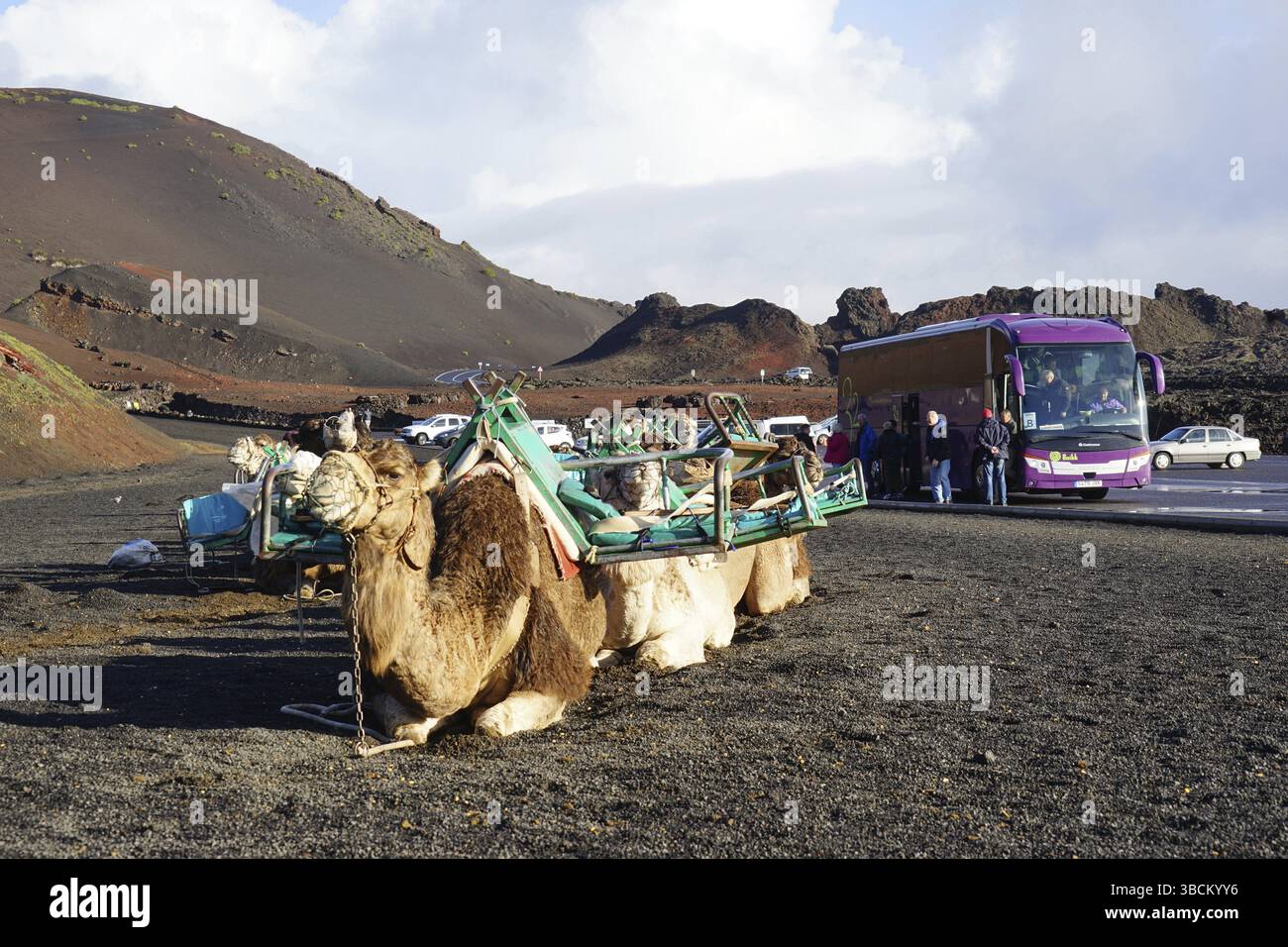 Dromedary Station, Bus with tourists, Echadero de los Camellos y Museo ...