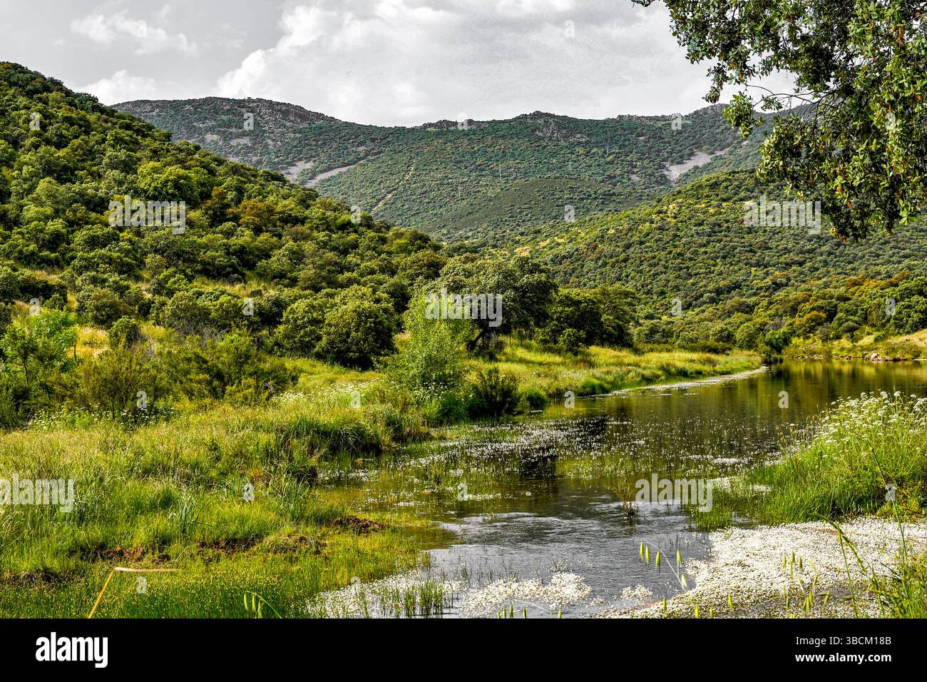 Nature Wonders in Spain: The Hidden Beauty of Montoro River in The ...