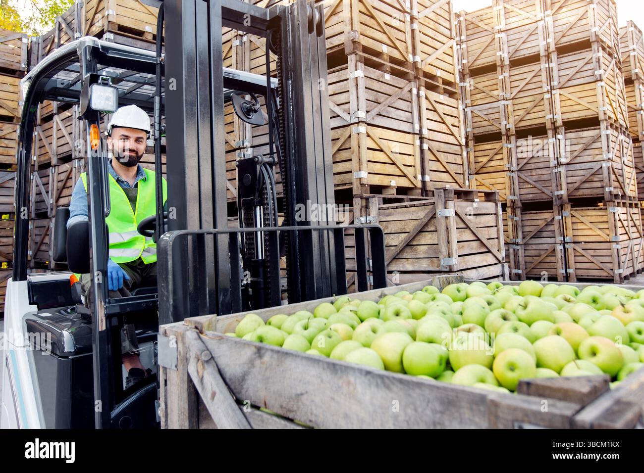 Loading apples with forklift, transport of goods to industrial ...