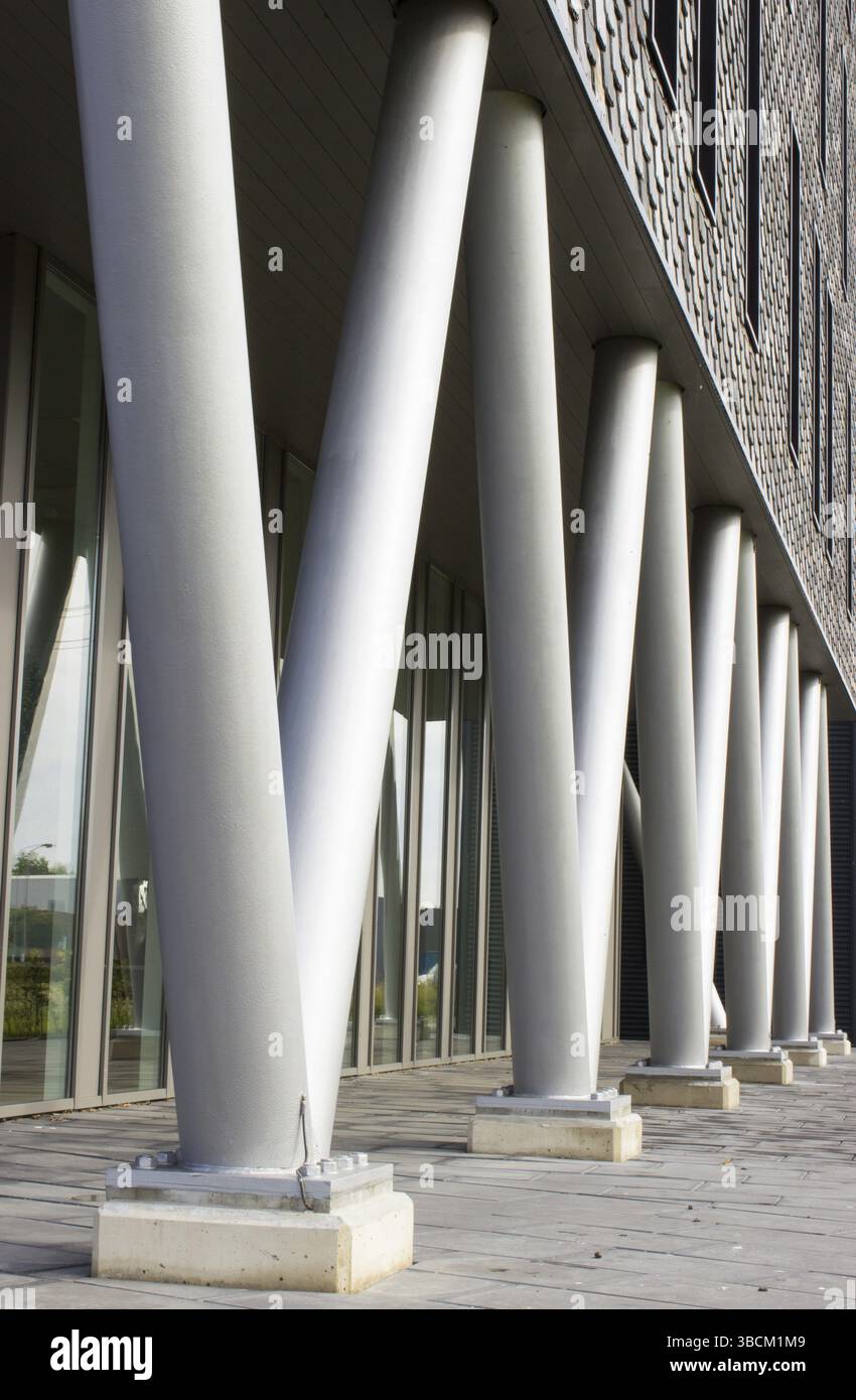 Round metal pillars in V- form as basis of a building construction ...