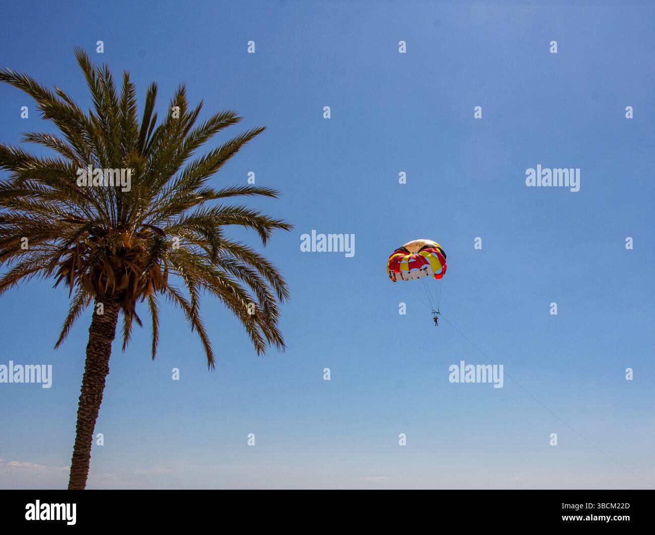 parachute ride. palm tree in the foreground. High Stock Photo - Alamy